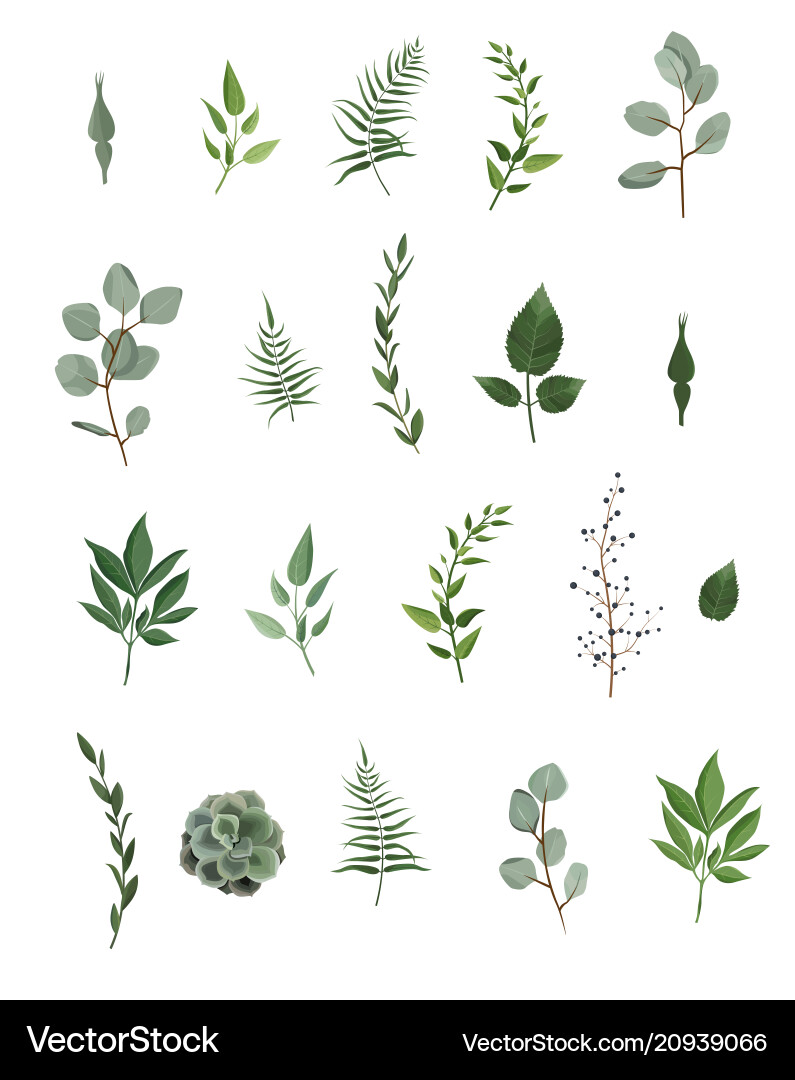 Designer elements set collection of green Vector Image