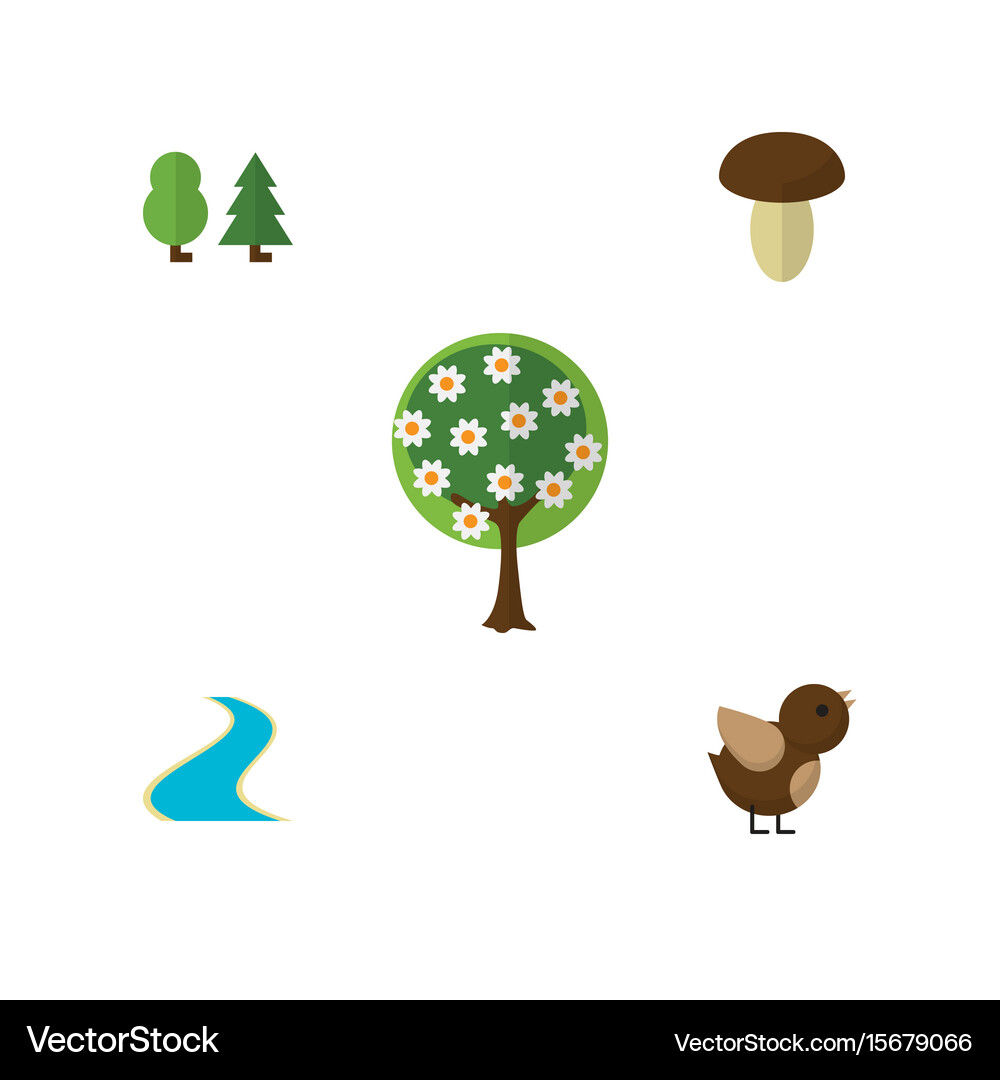 Flat icon ecology set of forest tree tributary Vector Image