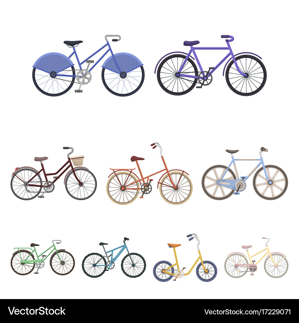 Collection of bikes with different wheels Vector Image