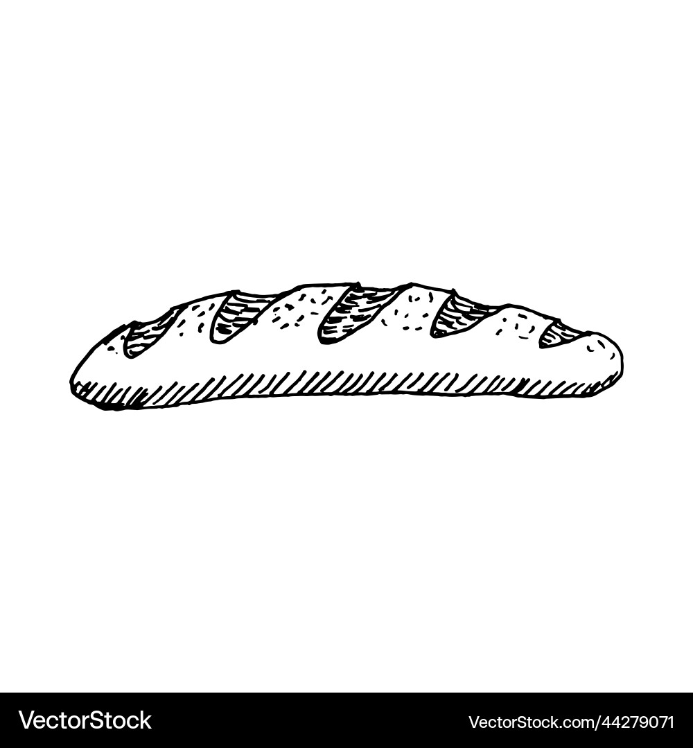 Loaf of bread sketch style Royalty Free Vector Image
