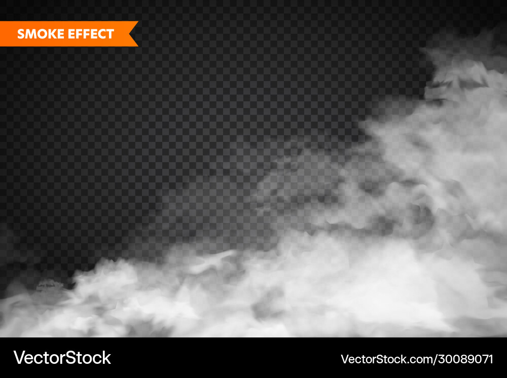 Realistic fog mist effect smoke isolated Vector Image