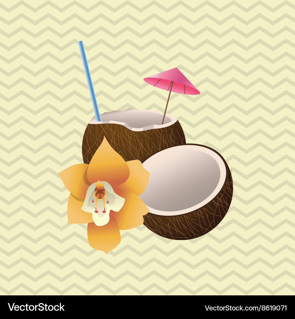 Tropical design flower concept coconut icon Vector Image