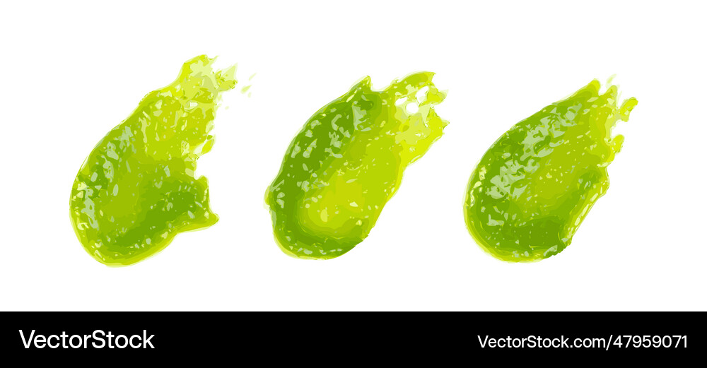 Wasabi smear isolated green sushi paste on white Vector Image