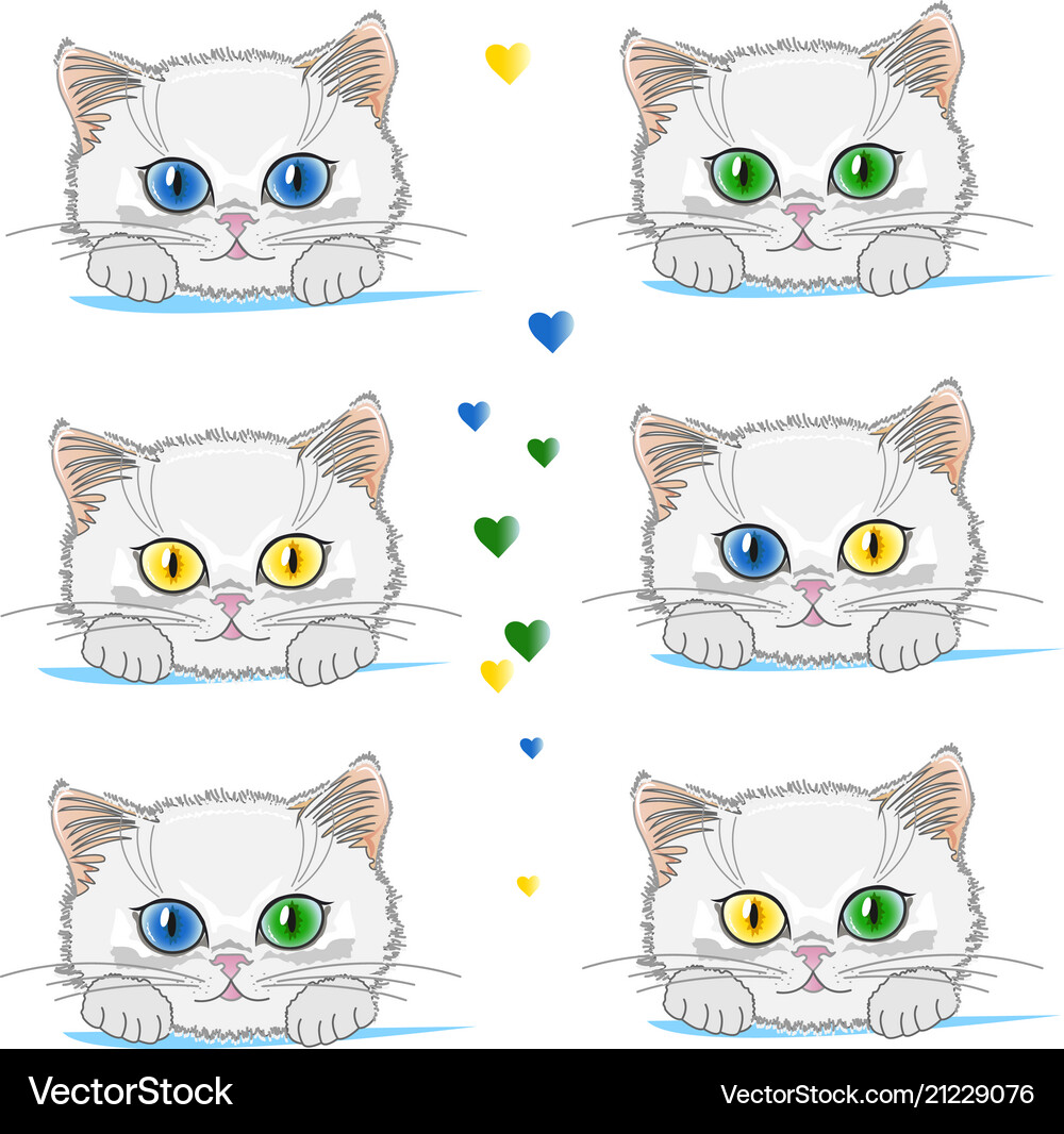 Set of cute cats Royalty Free Vector Image - VectorStock