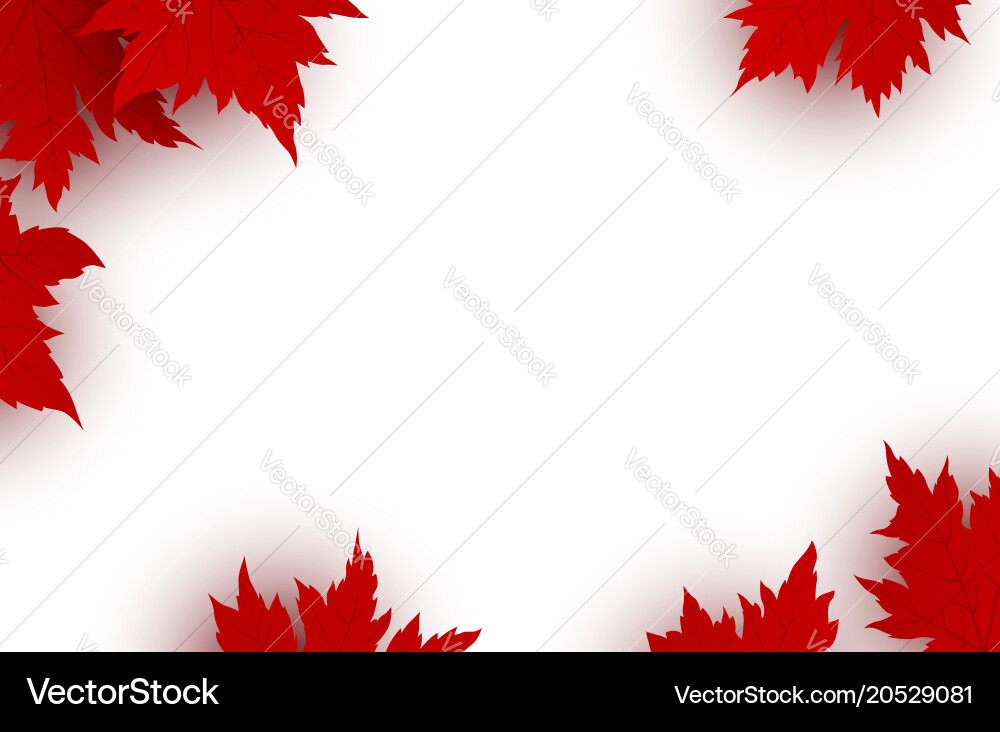 Canada day background design red maple leaves Vector Image