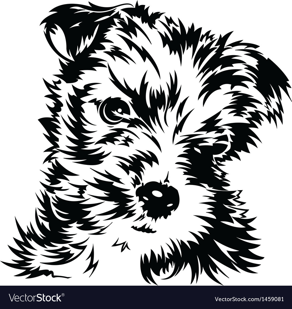 Puppy Royalty Free Vector Image - VectorStock Puppy Royalty Free Vector Image - VectorStock