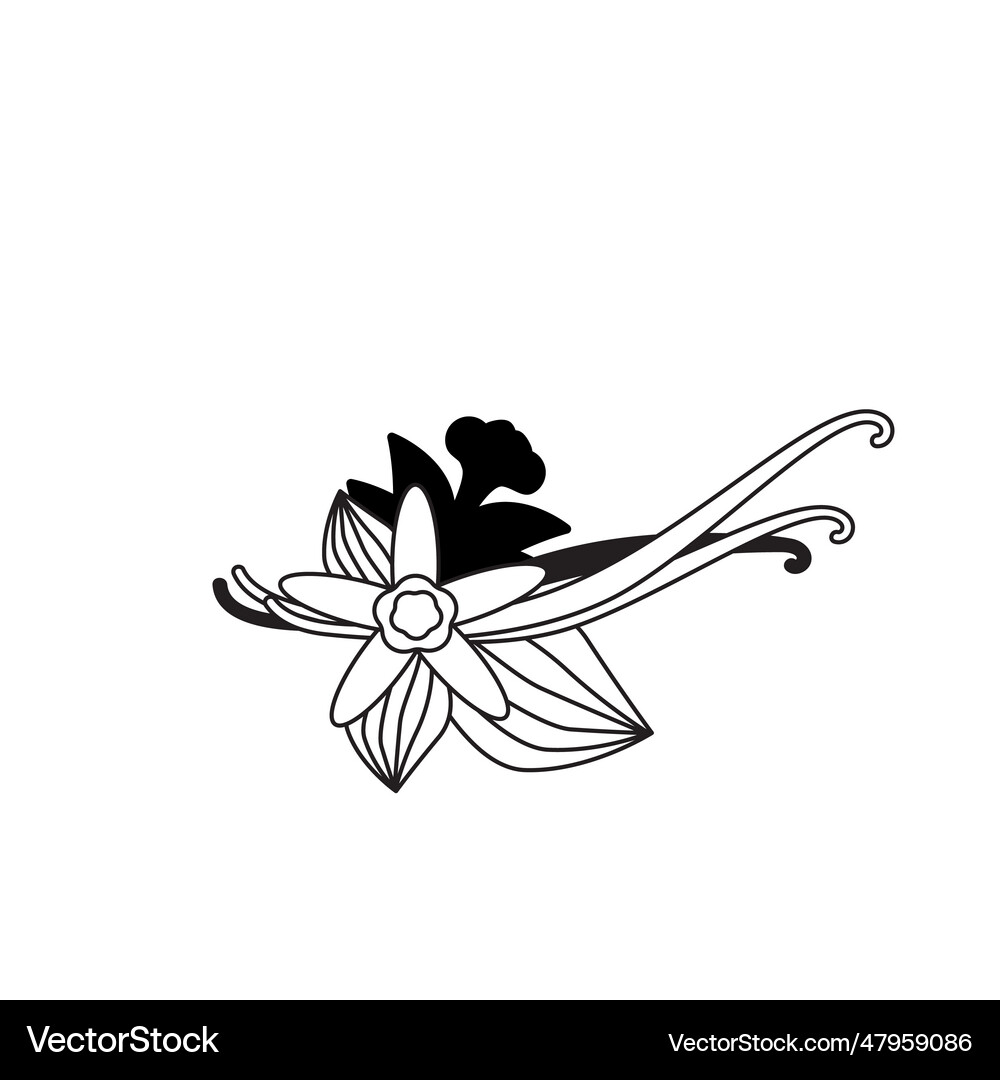 Vanilla pod icon orchid bean sticks dry vanillin Vector Image