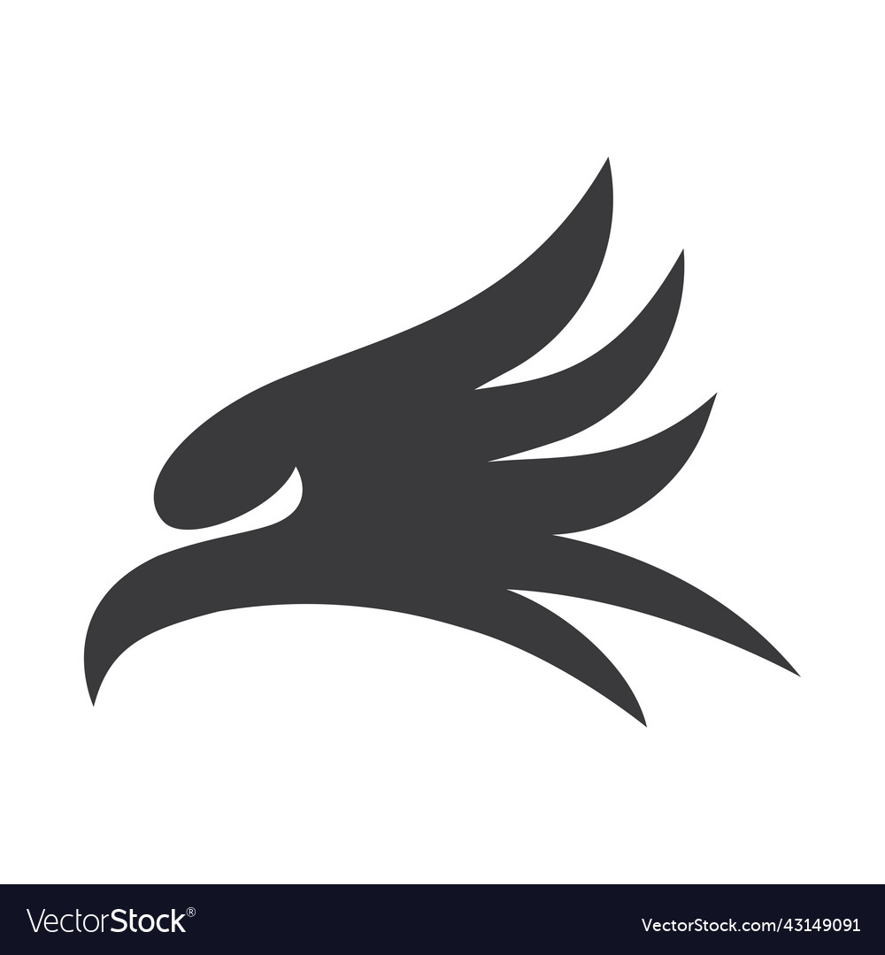 Falcon eagle bird Royalty Free Vector Image - VectorStock