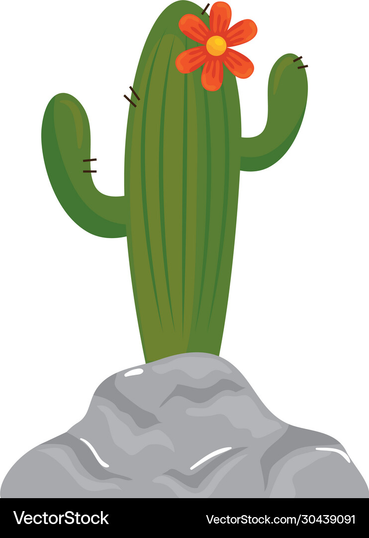 Isolated cactus plant with flower design Vector Image