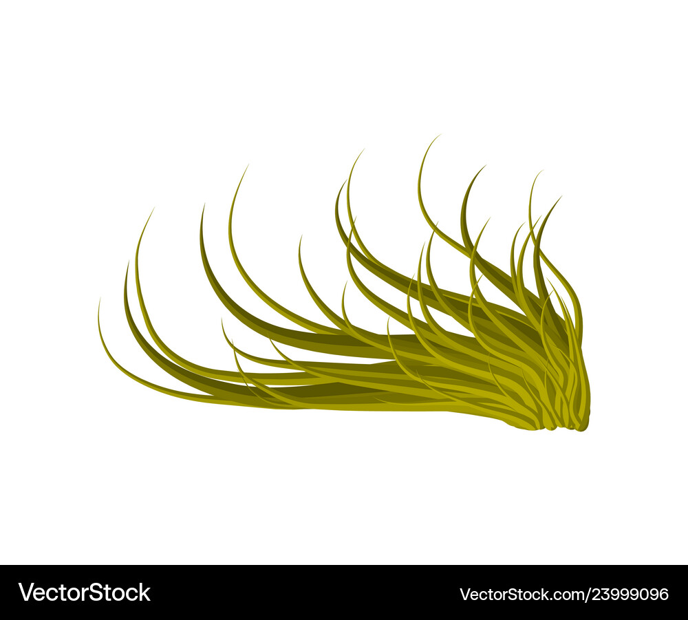 Grass symbol icon design beautiful isolated Vector Image