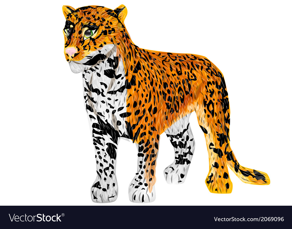 Leopard Royalty Free Vector Image - VectorStock