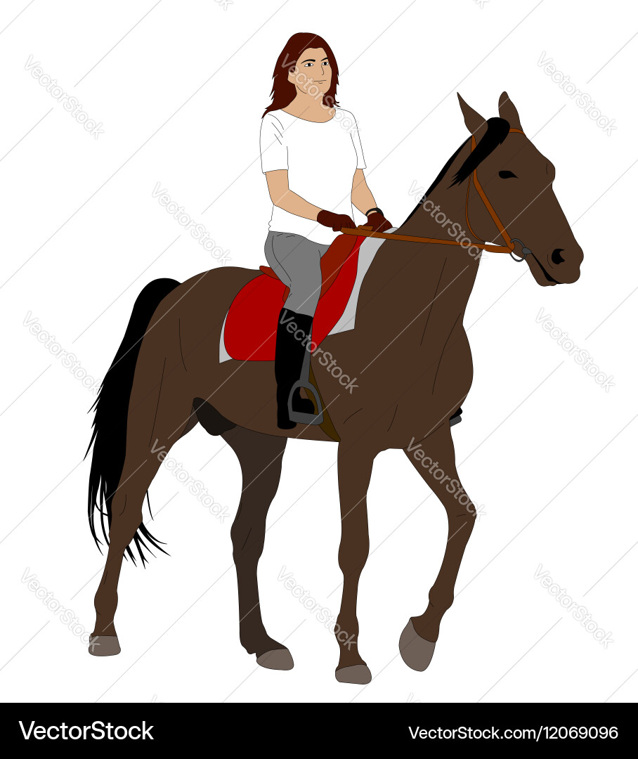 Woman riding horse Royalty Free Vector Image - VectorStock