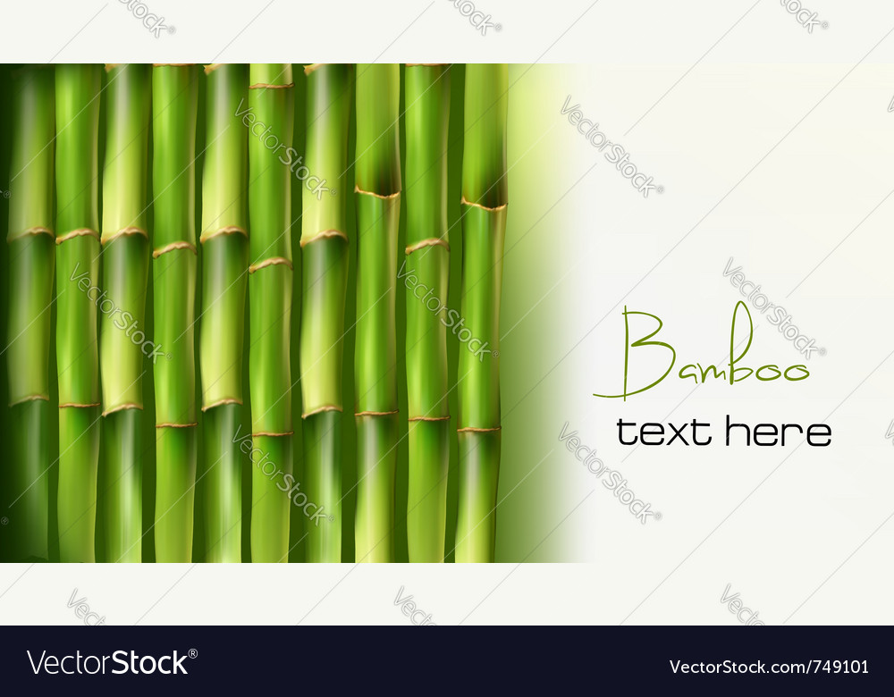 Bamboo background Royalty Free Vector Image - VectorStock