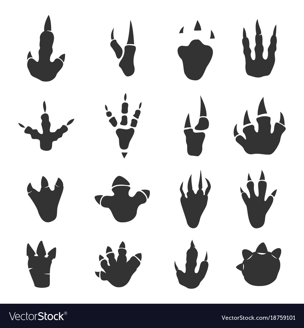 Dinosaur Footprints Collection On White Royalty Free Vector