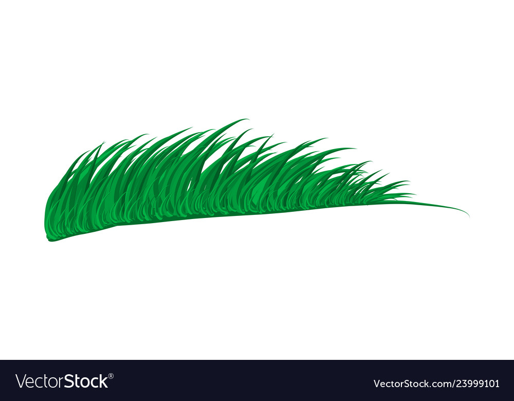 Grass Symbol Icon Design Beautiful Isolated Vector Image