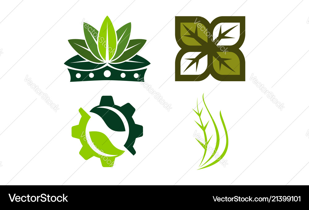 Leaf Template Collection Royalty Free Vector Image