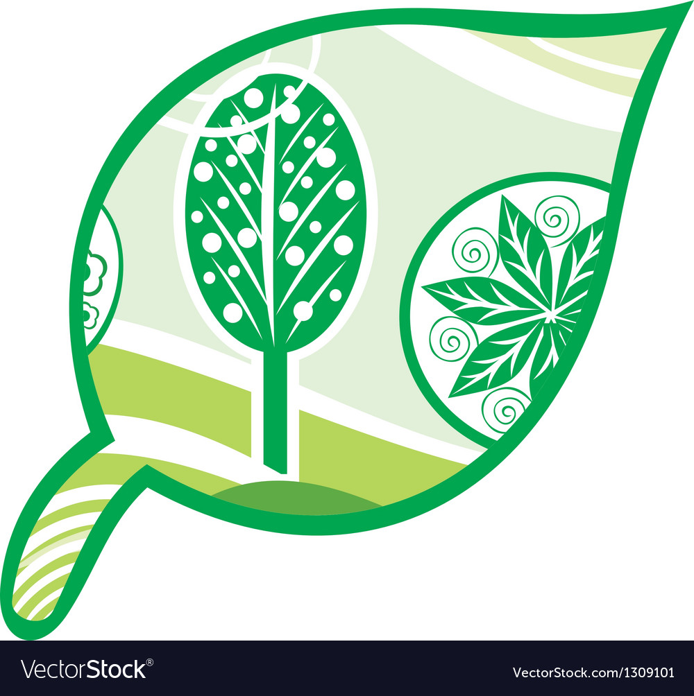 Leaf tree green Royalty Free Vector Image - VectorStock
