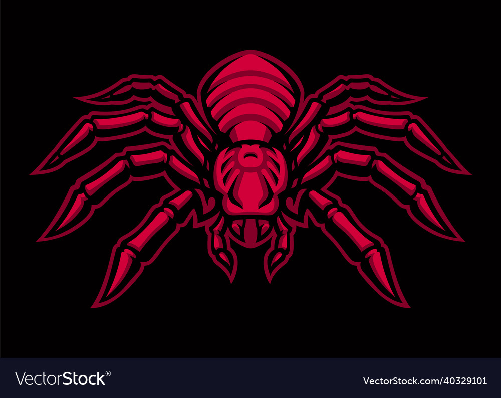 Spider logo Royalty Free Vector Image - VectorStock