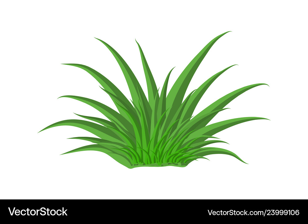 Grass symbol icon design beautiful isolated Vector Image