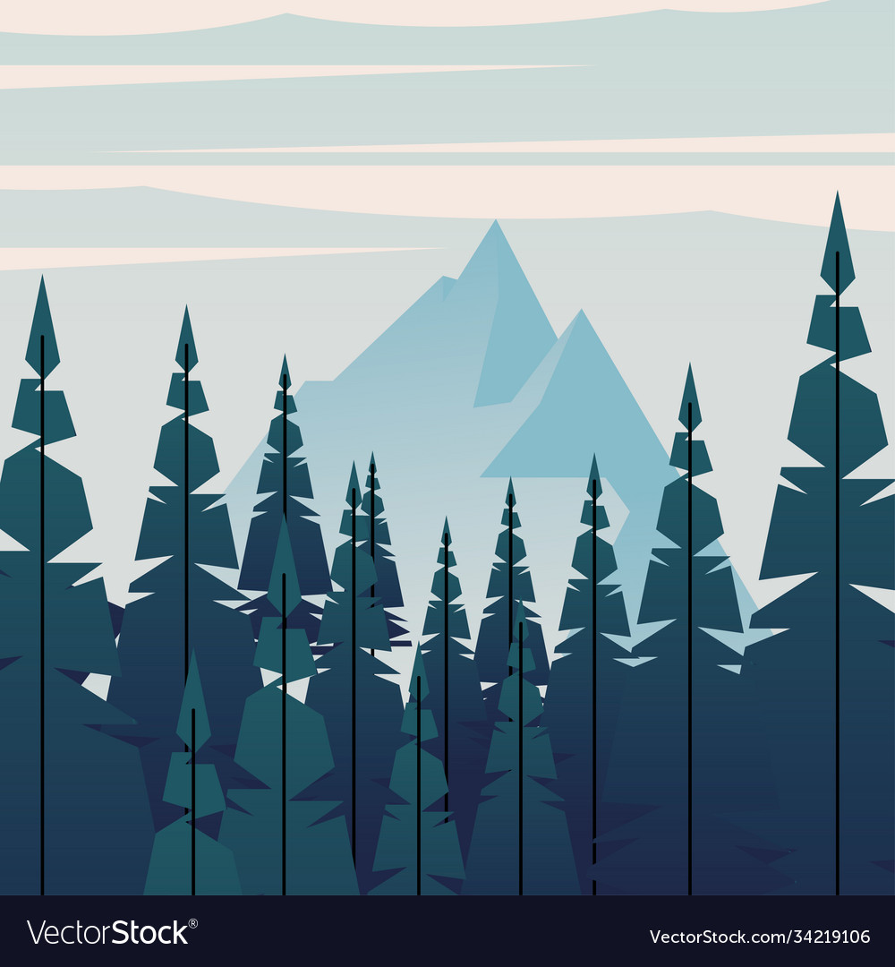 Landscape pine trees in front mountain Royalty Free Vector