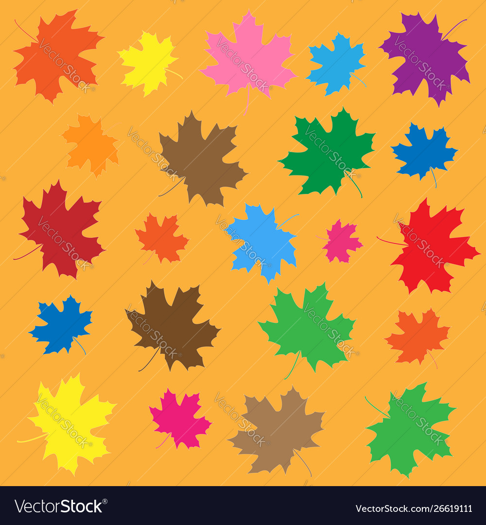 Autumn maple leaves Royalty Free Vector Image - VectorStock