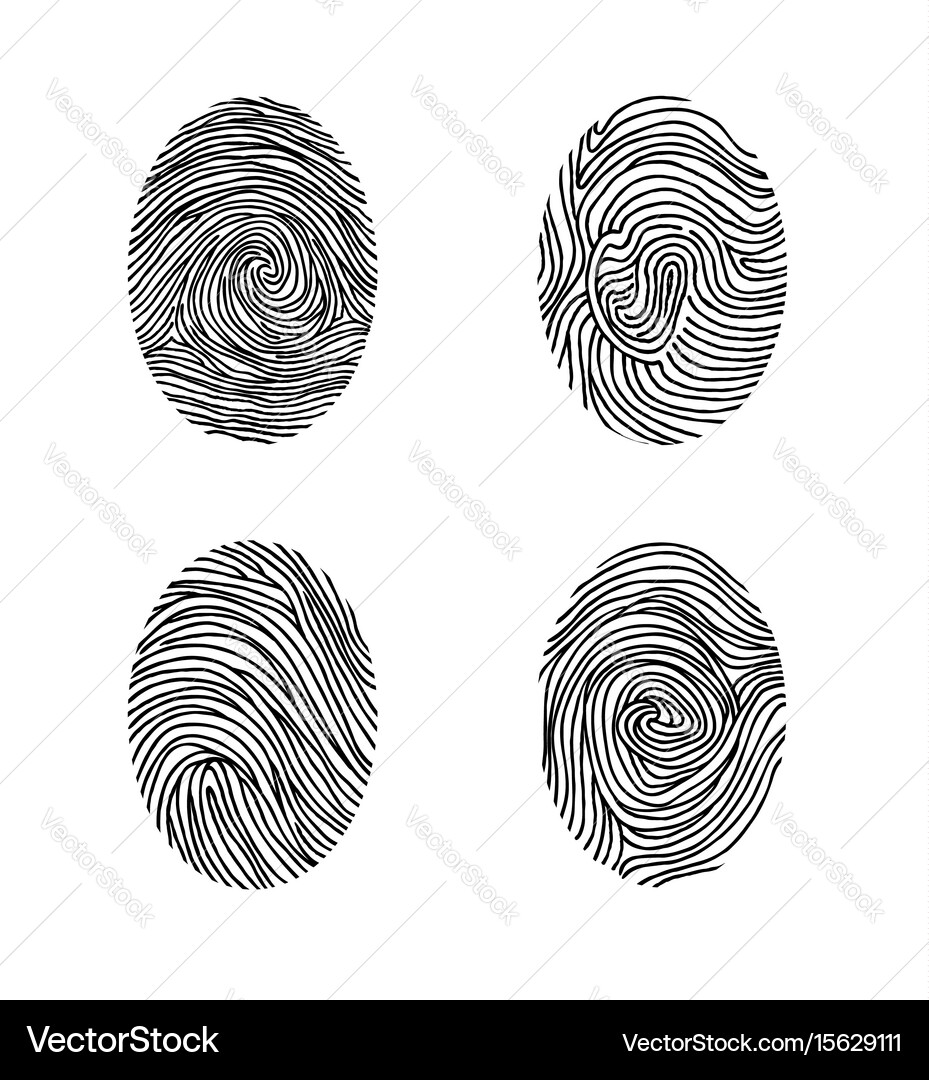 Fingerprint set abstract lswirl line decor Vector Image