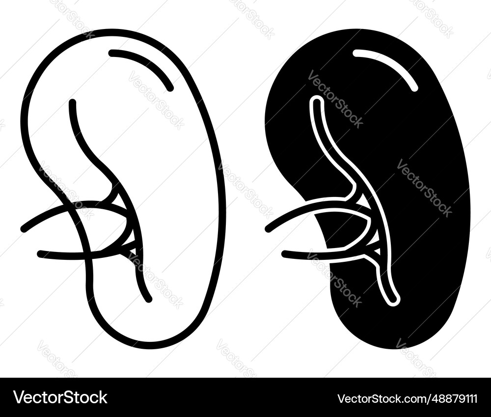 Human spleen organ icon Royalty Free Vector Image