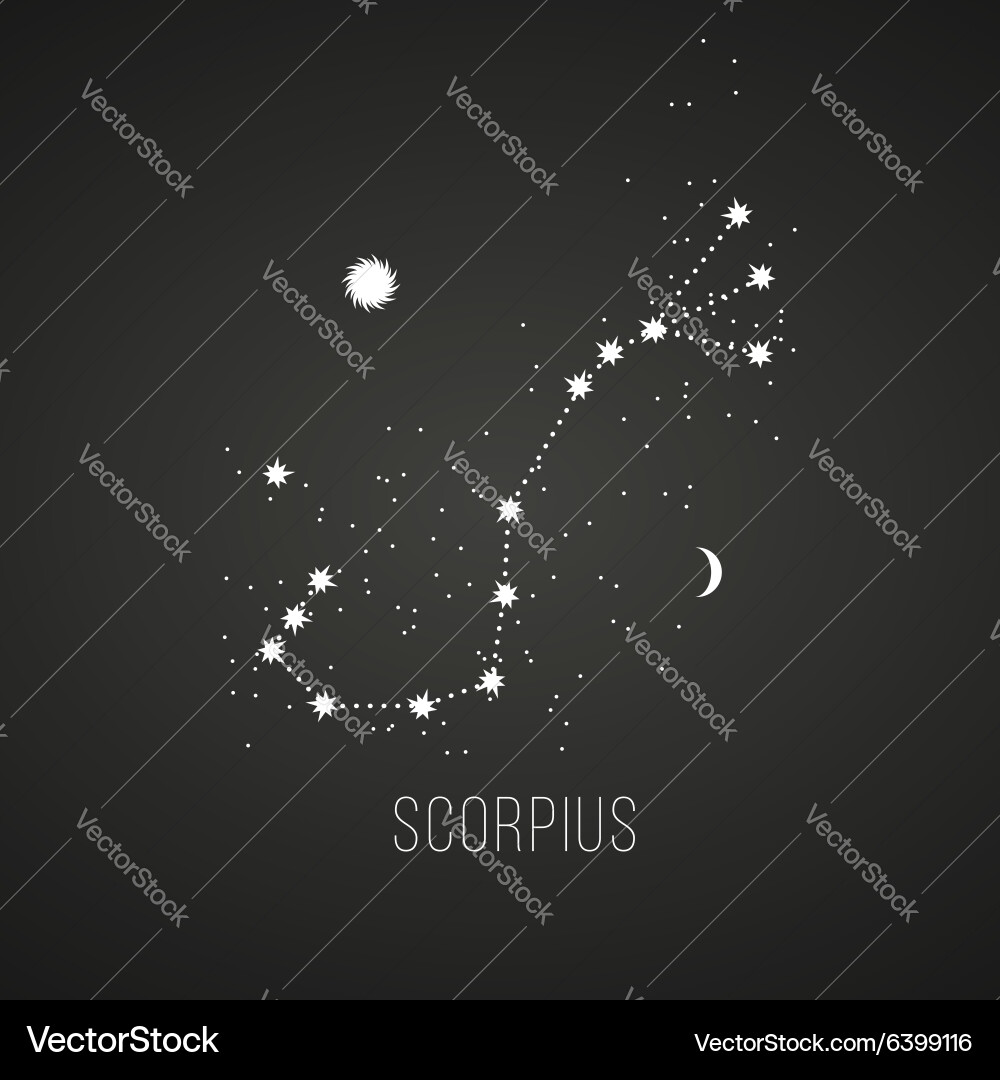 Astrology sign scorpius on chalkboard background Vector Image