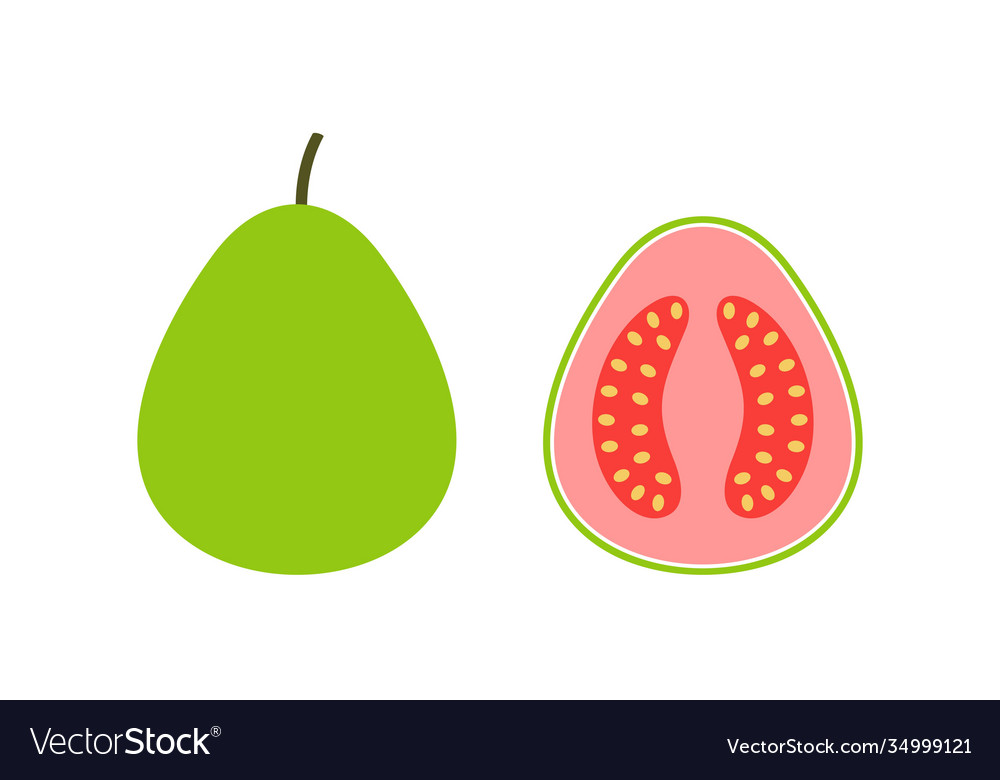 Guava Royalty Free Vector Image - VectorStock