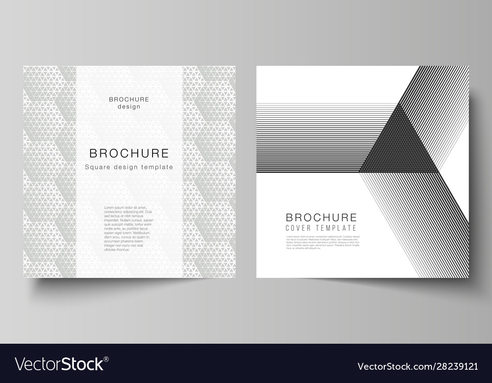 Minimal layout two square Royalty Free Vector Image