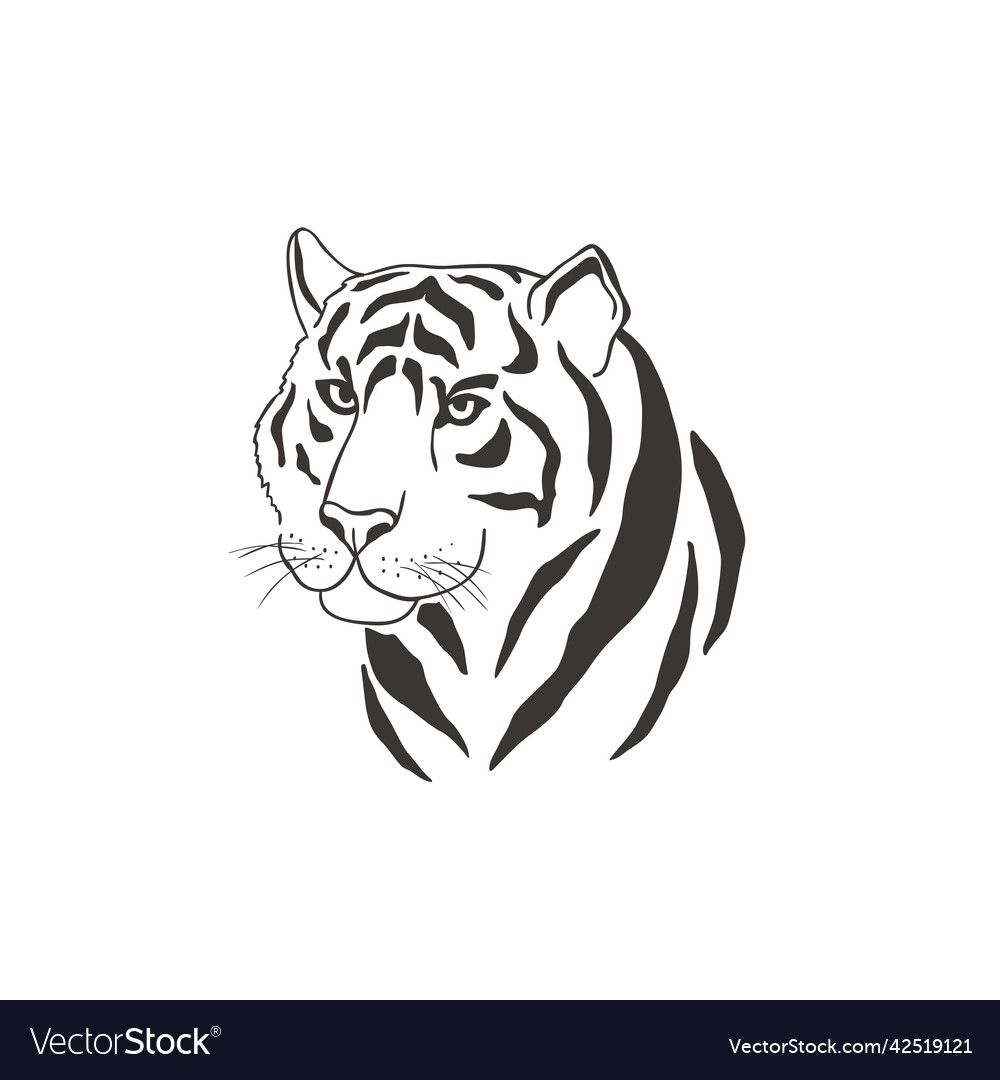 Tiger on white background Royalty Free Vector Image