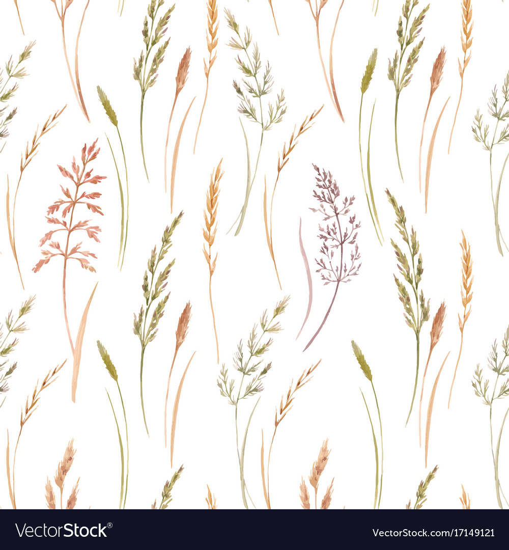 Wild field grass pattern Royalty Free Vector Image