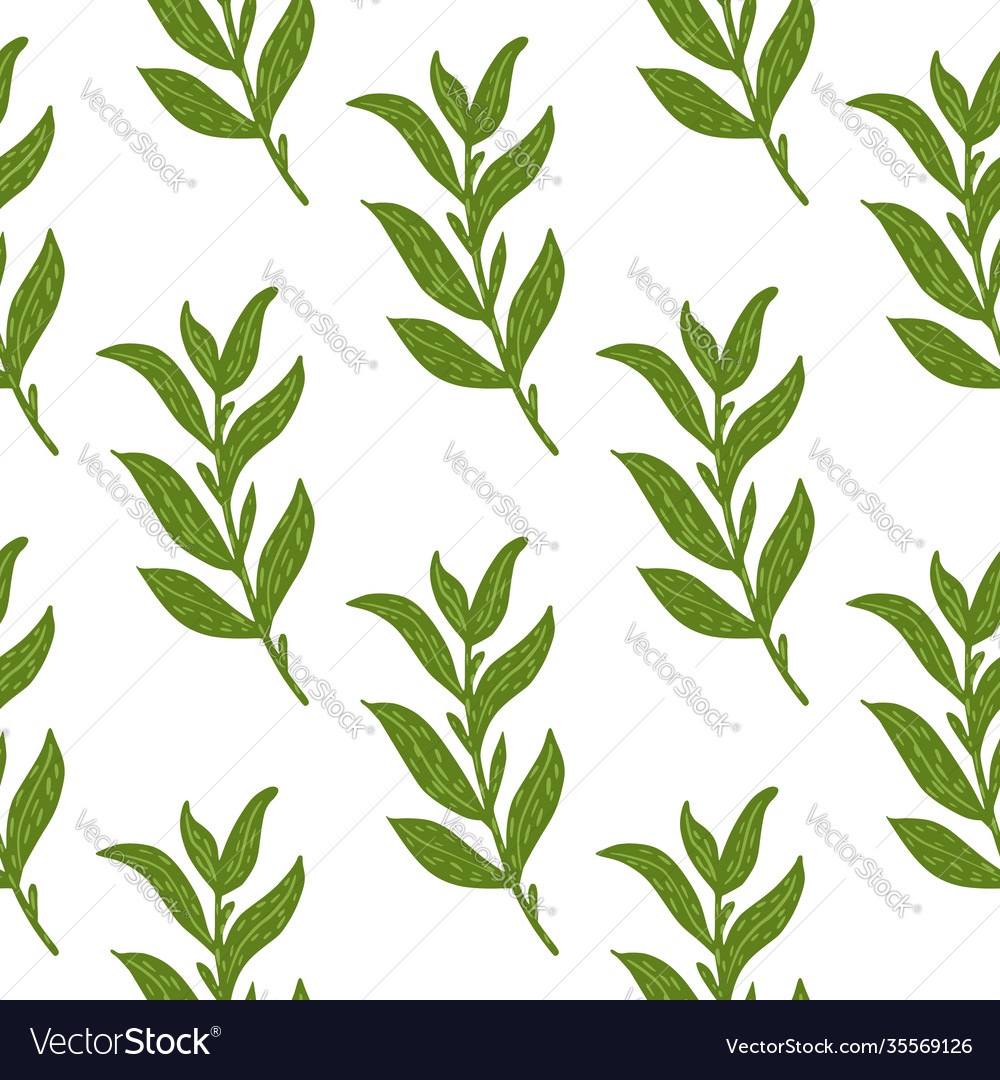Botanic seamless isolated pattern with simple Vector Image