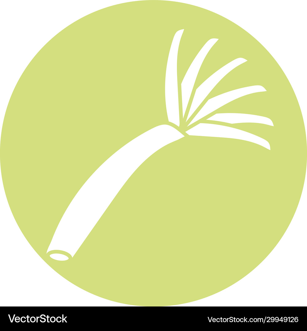 Green onion icon block style Royalty Free Vector Image