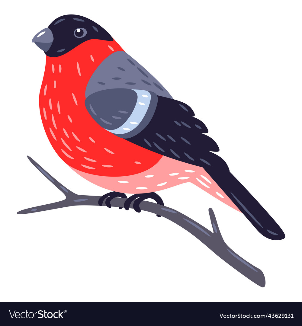 Beautiful winter bird bullfinch Royalty Free Vector Image