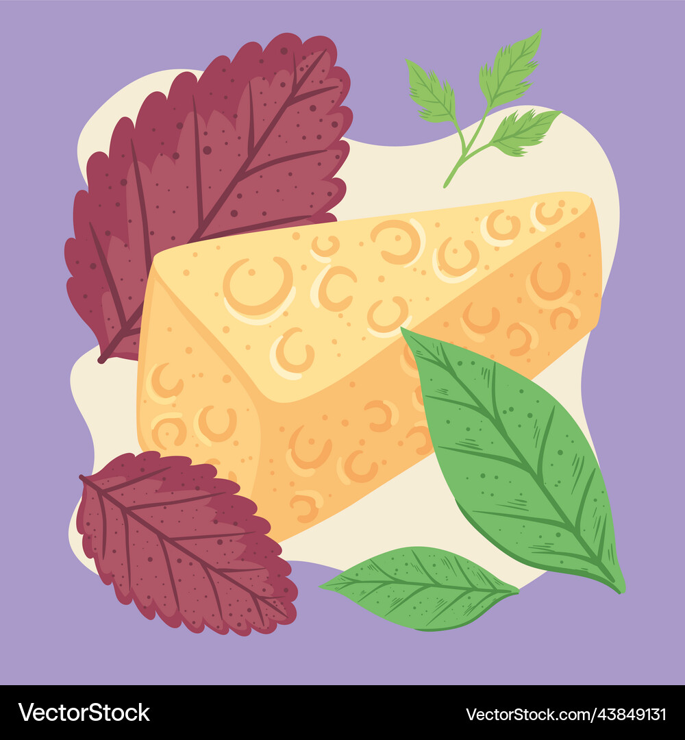 Cheese with leafs Royalty Free Vector Image - VectorStock