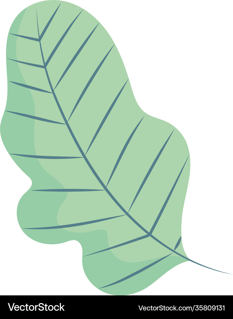 Leaf nature foliage cartoon icon isolated style Vector Image