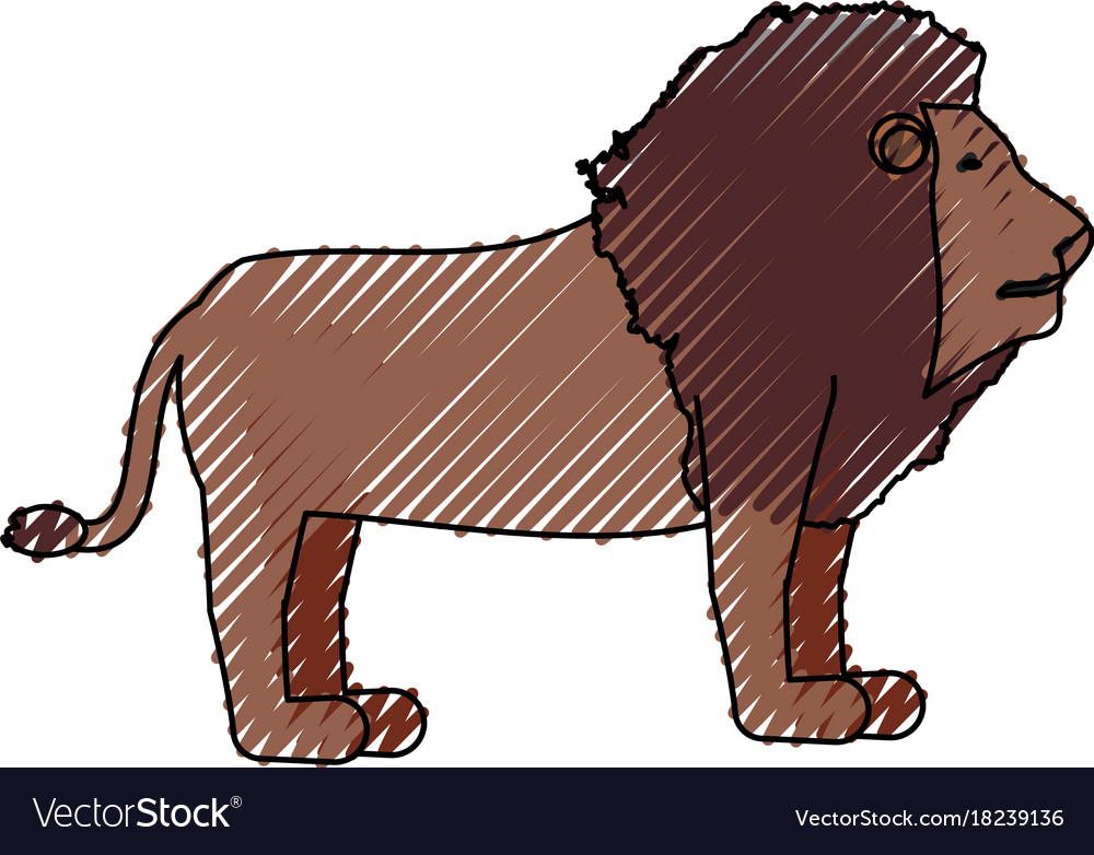 Lion Royalty Free Vector Image - VectorStock