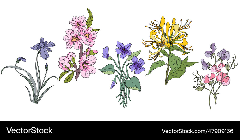 Set of hand drawn floral design elements Vector Image