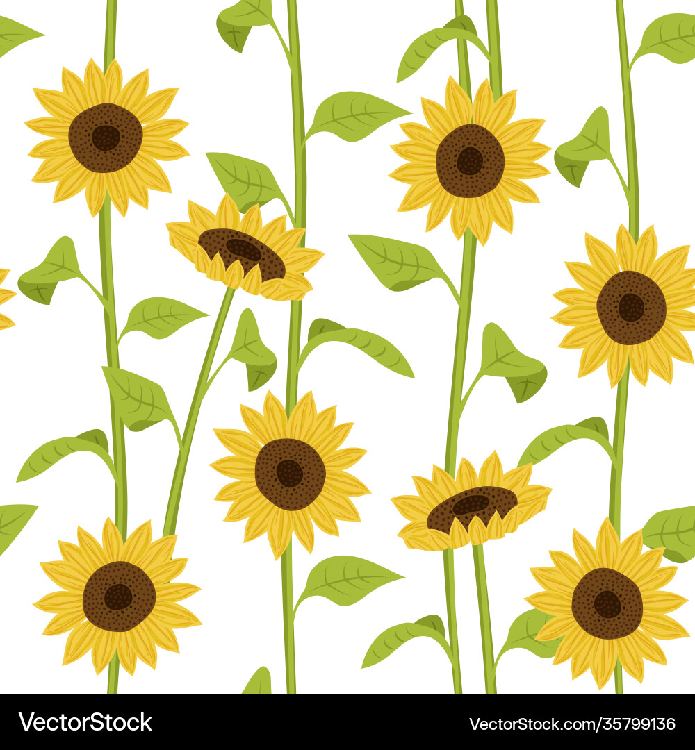 Sunflower seamless pattern creative texture for Vector Image