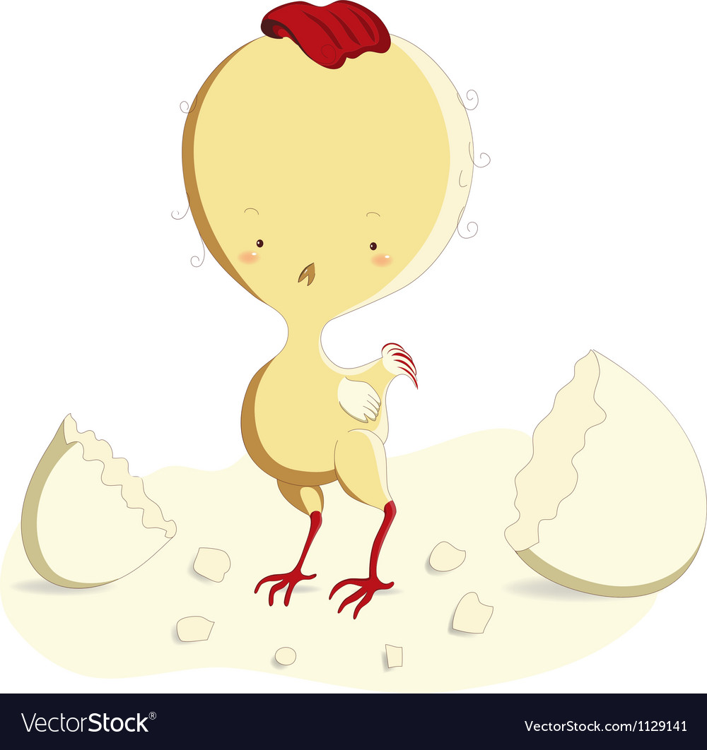 Chicken Royalty Free Vector Image - VectorStock