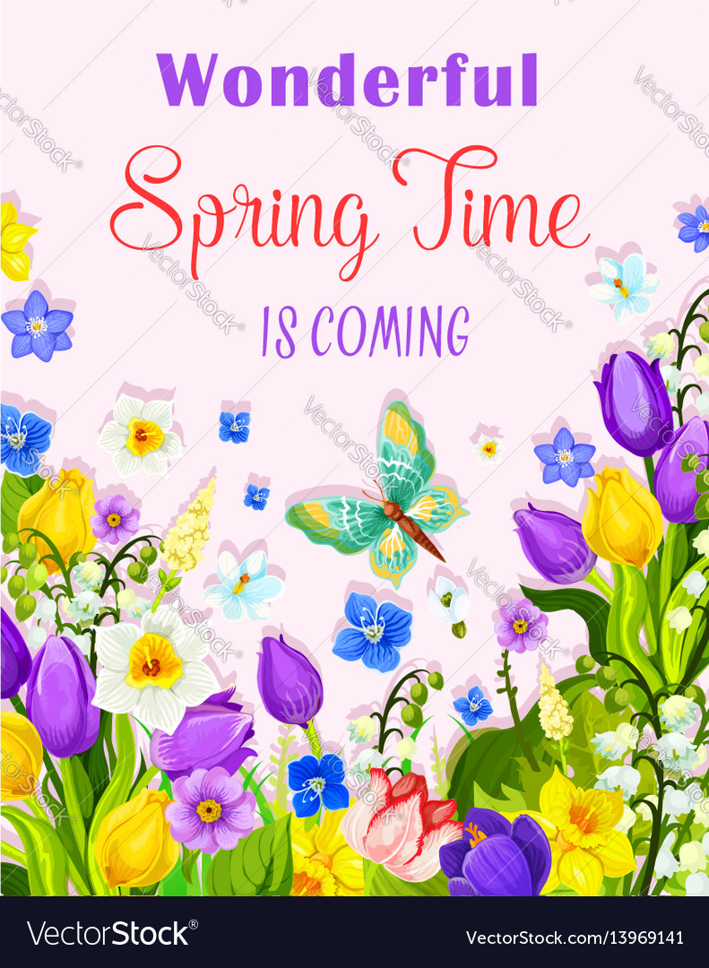 Flowers design of spring time greeting card Vector Image