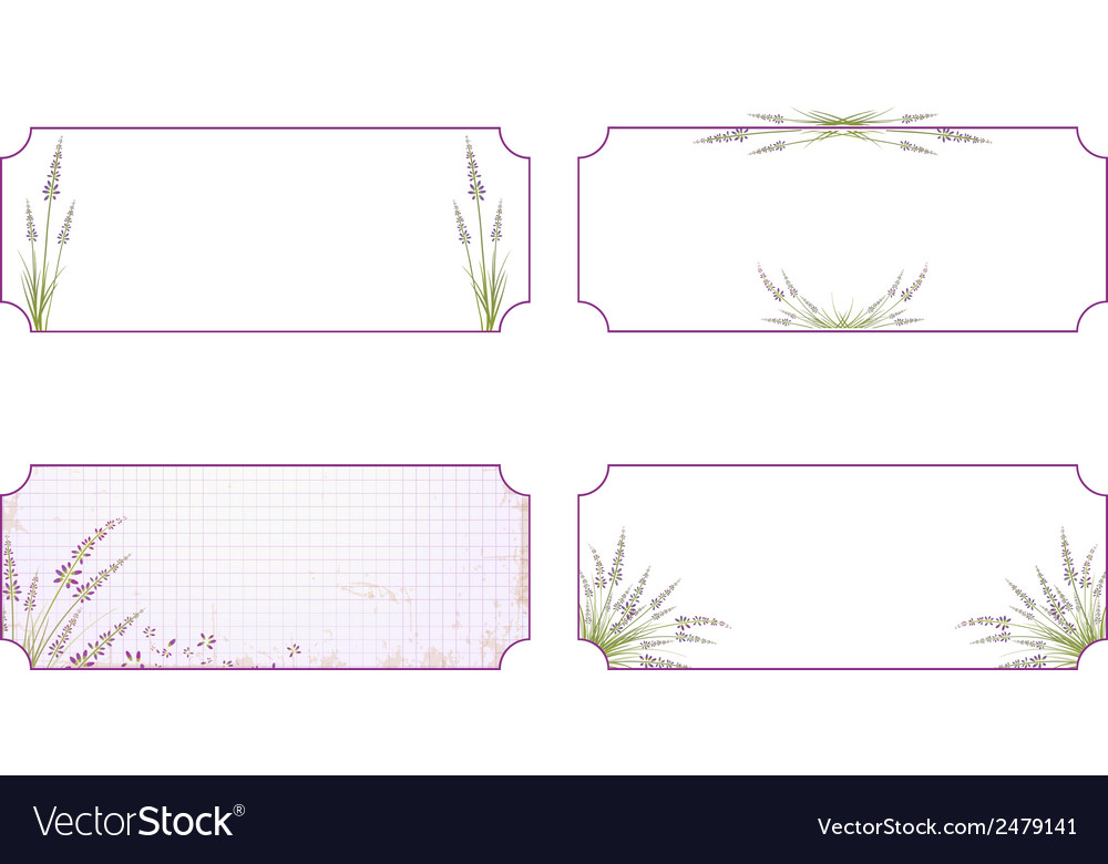 Lavender flower label collection Royalty Free Vector Image