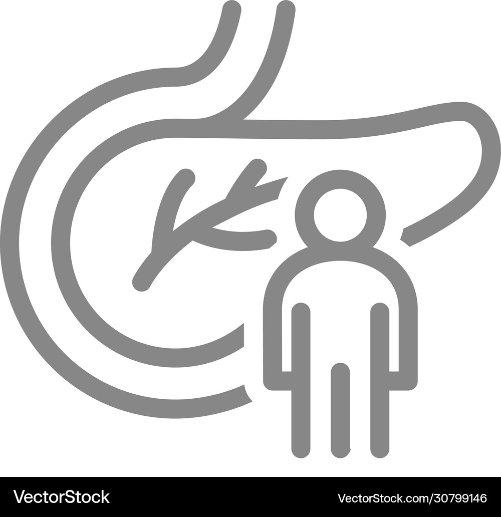 Pancreas with man line icon human digestive Vector Image