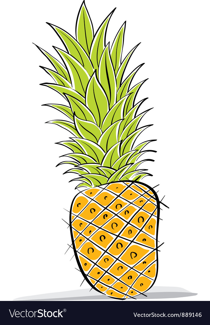 Pineapple drawing Royalty Free Vector Image - VectorStock