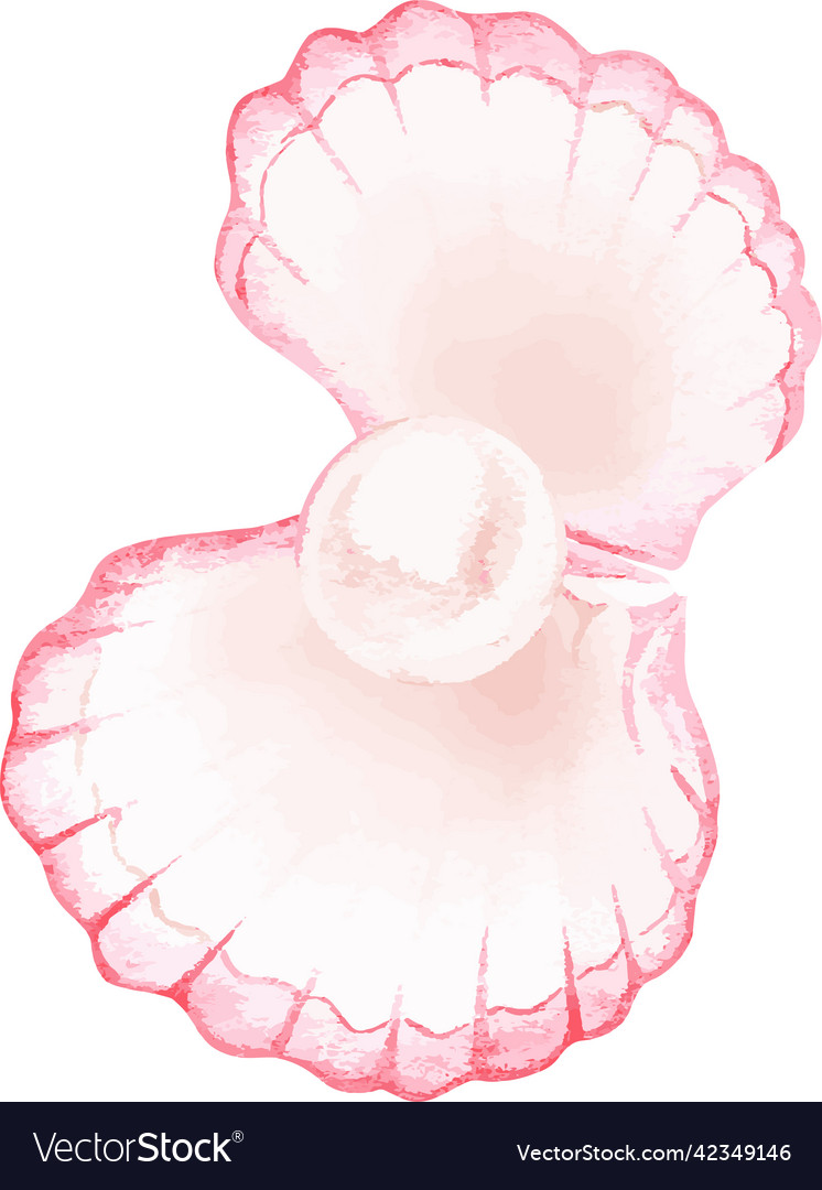 Shell with pearl Royalty Free Vector Image - VectorStock
