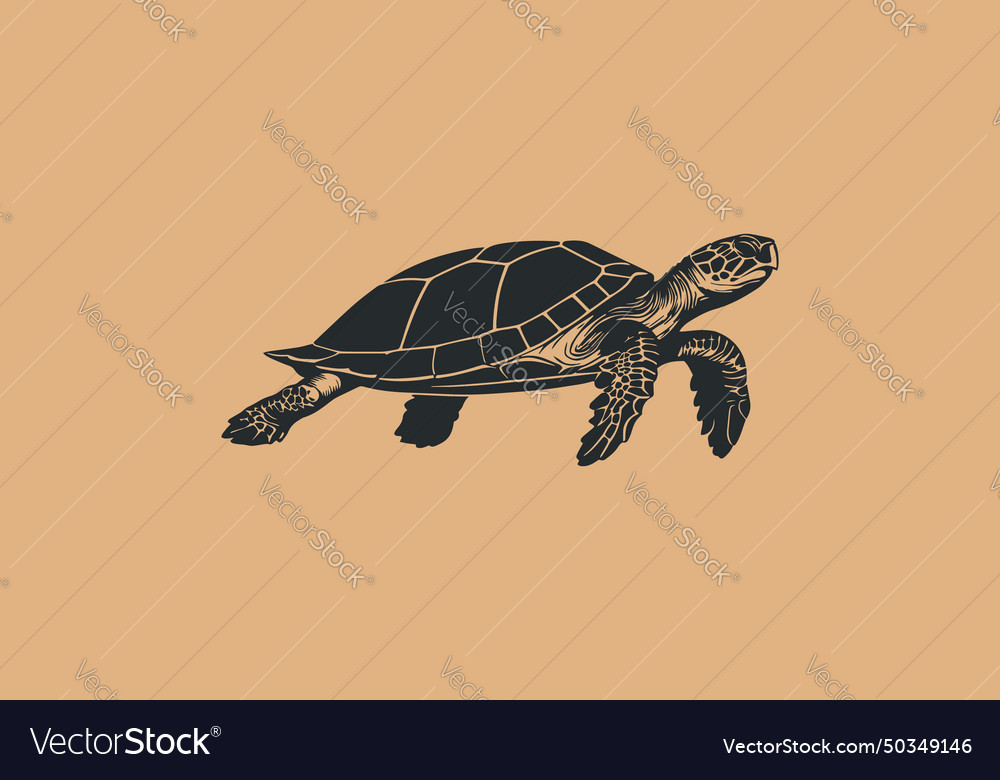 Turtle logo icon premium silhouette design Vector Image