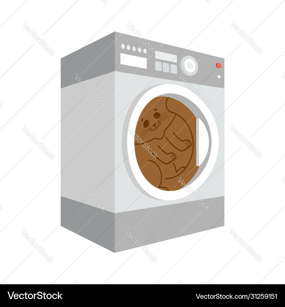Cat in washer isolated pet inside washing machine Vector Image