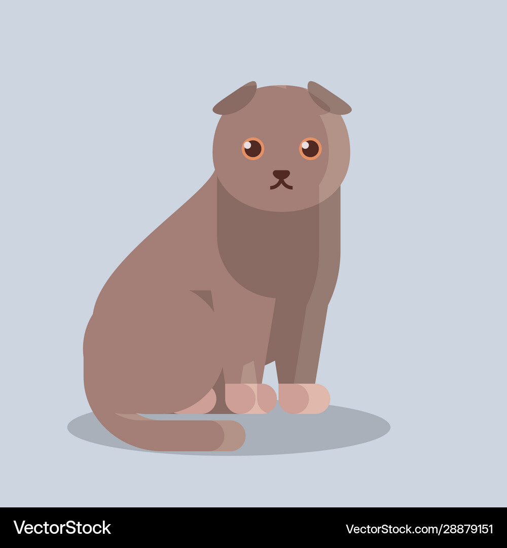 Cute cartoon cat icon kitten sitting alone flat Vector Image