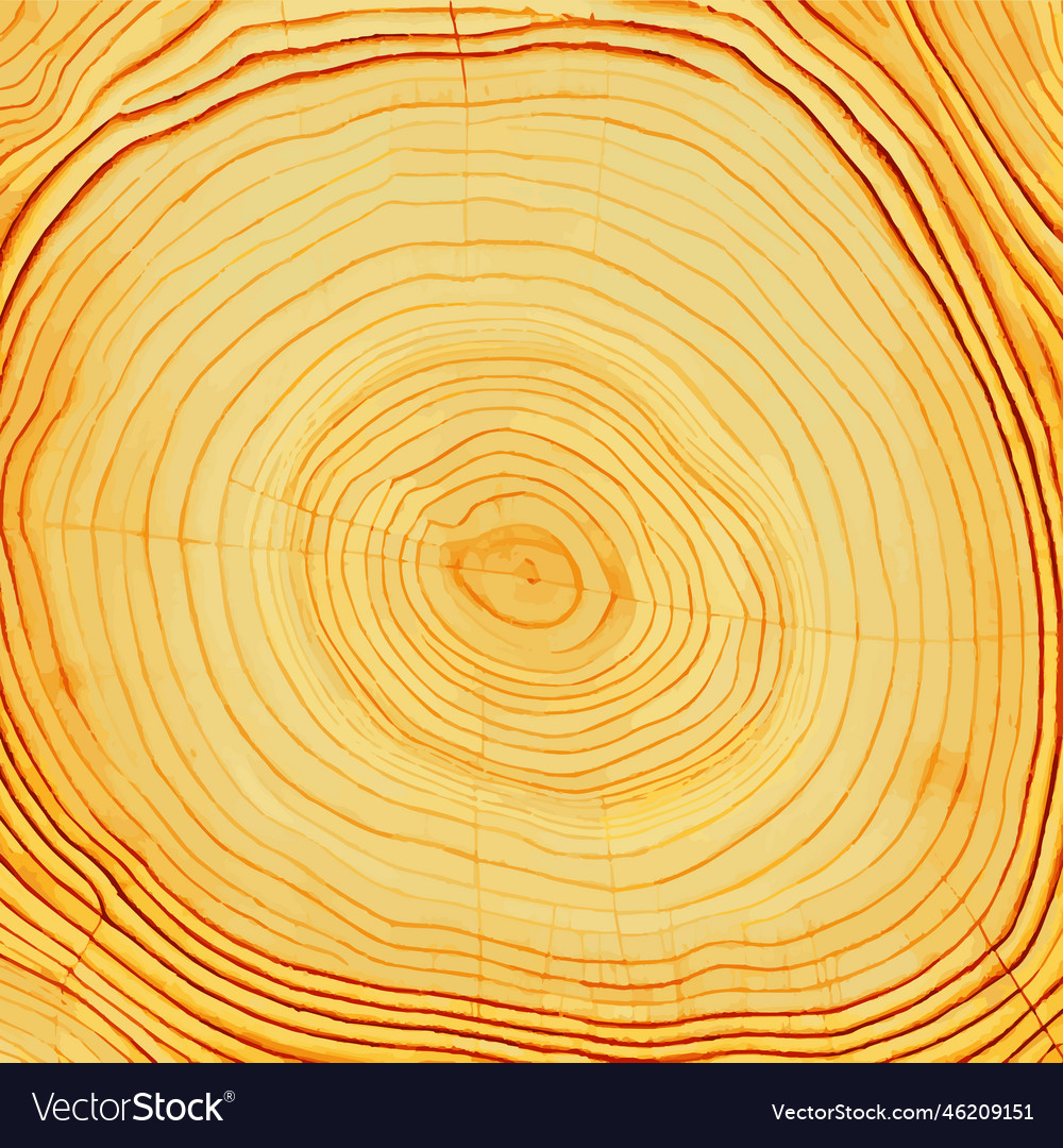 Realistic texture of the tallest green tree Vector Image